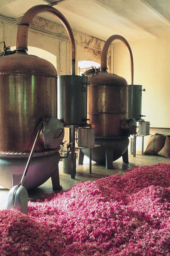 Anandateertha Aaromatics